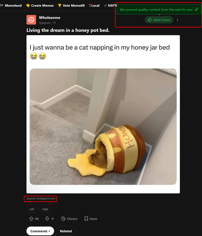 Wtf is this now??? - 9GAG