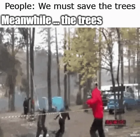Memes Save