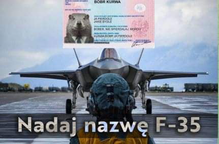 Best Funny bobr kurwa Memes - 9GAG