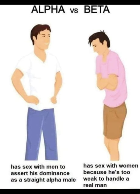 Best Funny alpha Memes - 9GAG