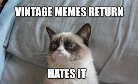 Cat Grumpy Memes Hd Memebase Grumpy Cat All Your Memes In Our Base