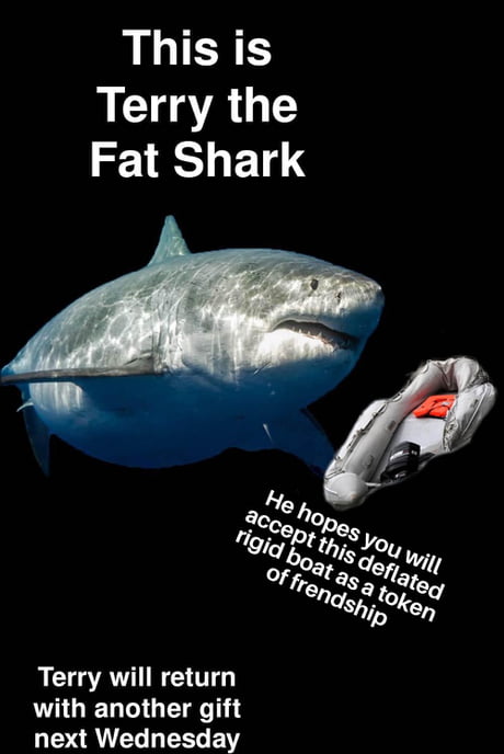Best Funny terry the fat shark Memes - 9GAG