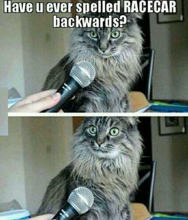 Say what now? - 9GAG