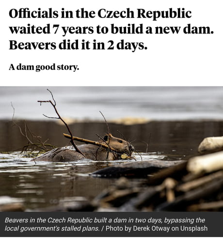 Twig Meme Best Funny Czech Republic Memes 9GAG