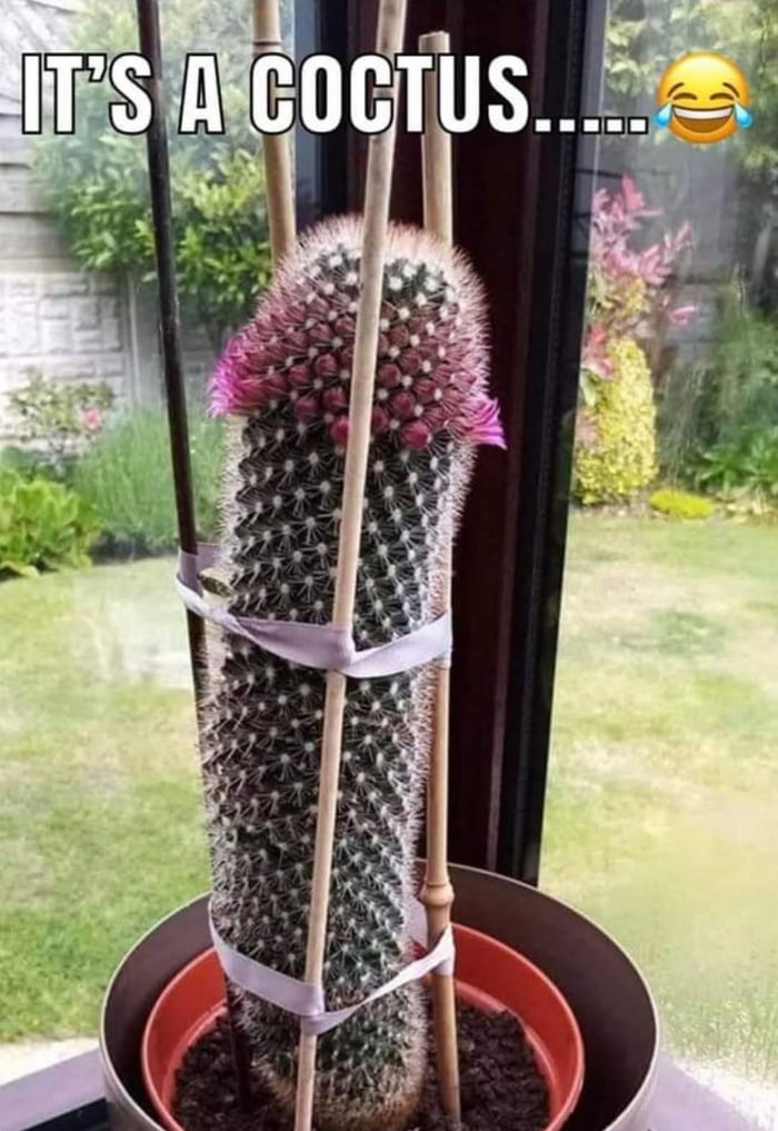 Are you brave enough - 9GAG