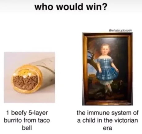 Mexican Burrito Memes