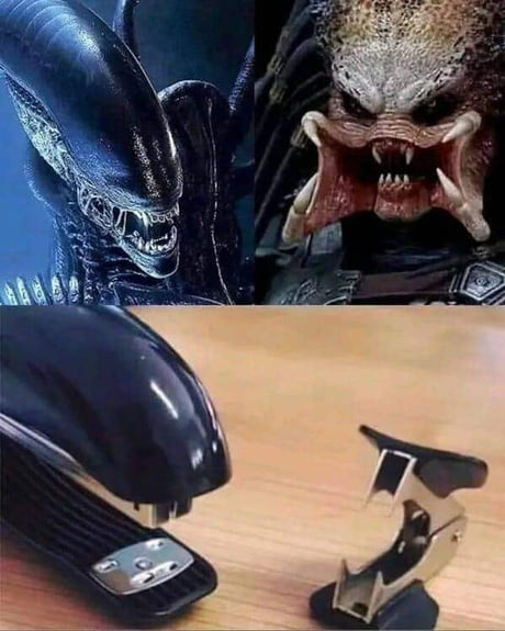 Best Funny predator Memes - 9GAG