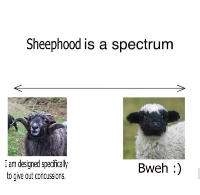 Shawn the sheep - 9GAG