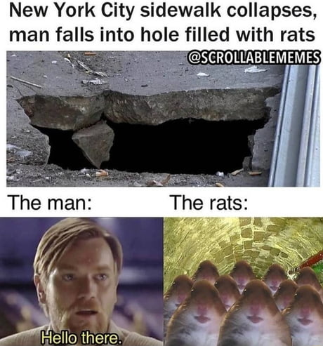Memes On Hey