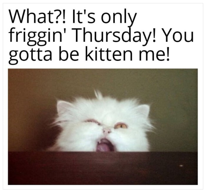 Thursday humor - 9GAG