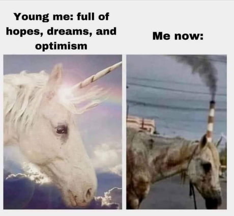 Best Funny optimism Memes - 9GAG