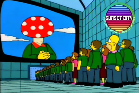 Best Funny shrooms Memes - 9GAG