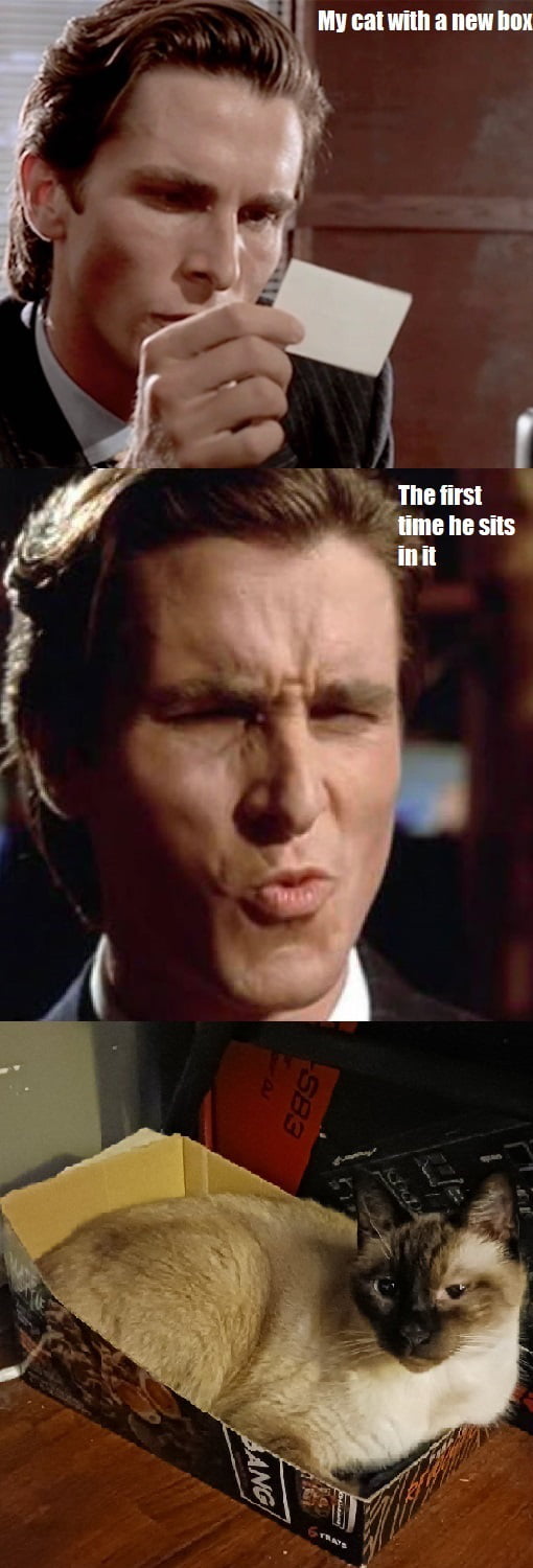 The tasteful thickness of it... - 9GAG