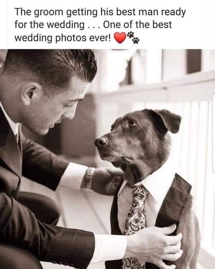 The best man is the best - 9GAG