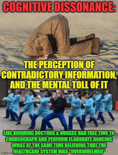Cognitive Dissonance Memes The Cognitive Dissonance Is Strong With