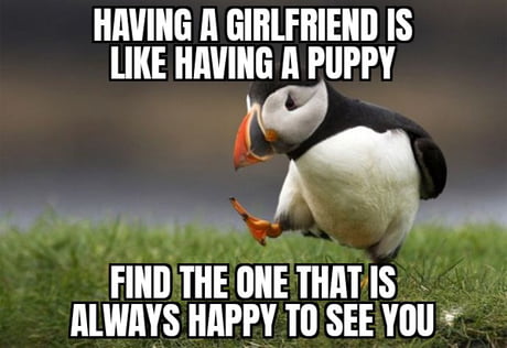Best Funny puffin Memes - 9GAG