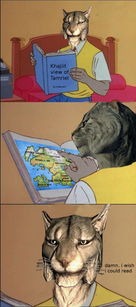 Best Funny khajiit Memes - 9GAG