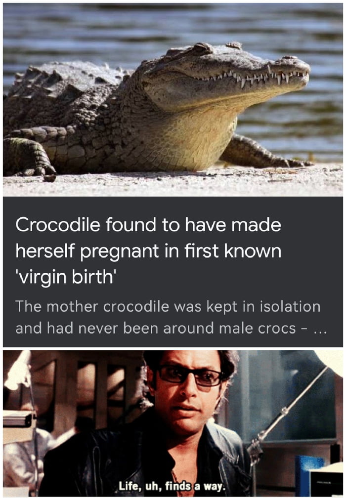 Life, uh, finds a way. - 9GAG