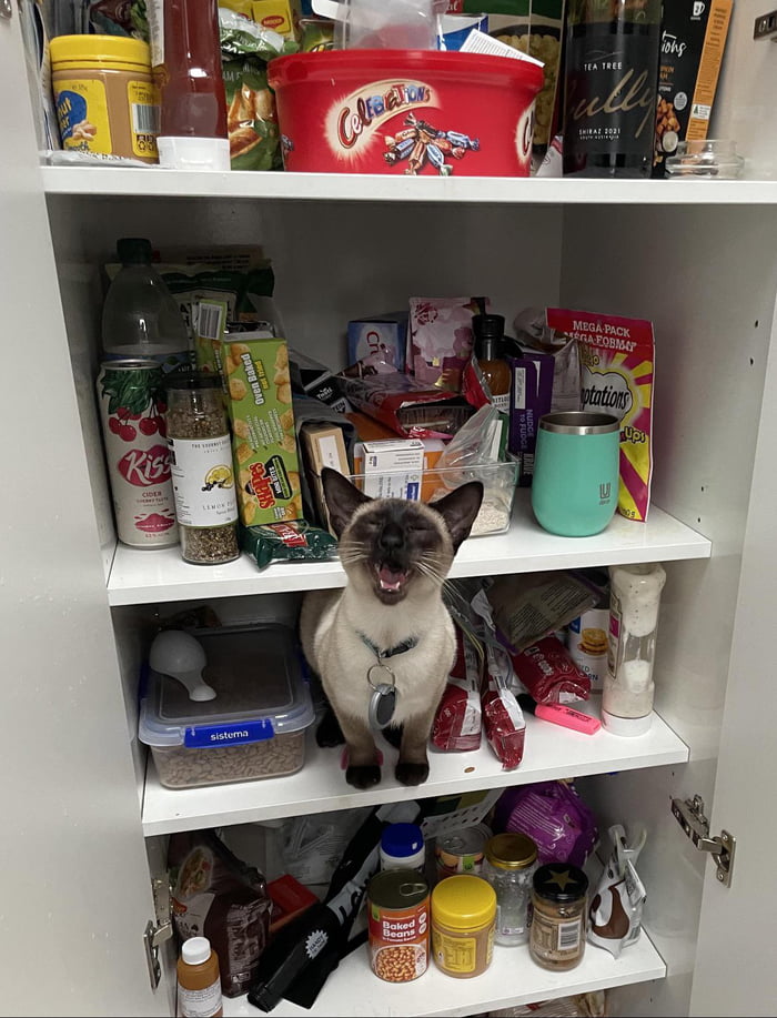 “Feed me” - 9GAG