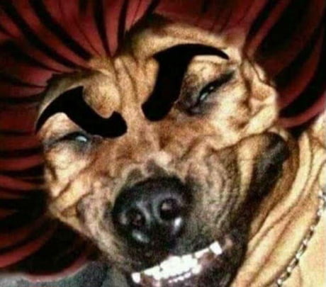 Best Funny baki Memes - 9GAG