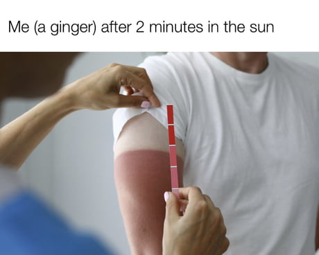 Best Funny ginger Memes - 9GAG