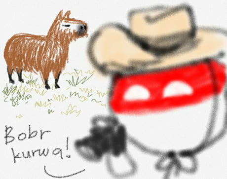 Best Funny capybara Memes - 9GAG