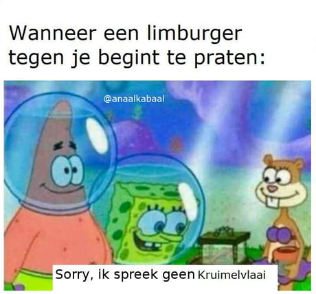 Memes Vlaai Dag Van De Vlaai | Bezoek Maastricht
