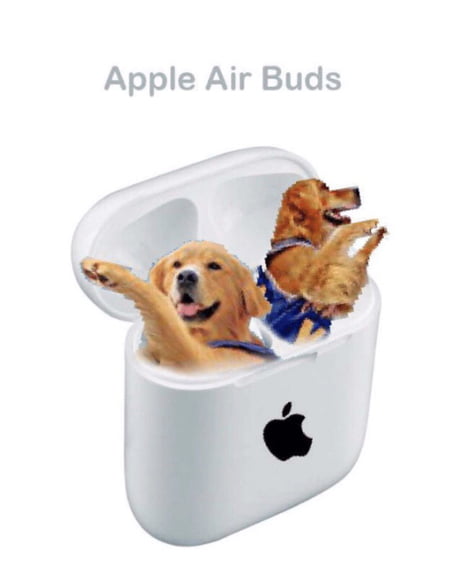 Air Bud Memes