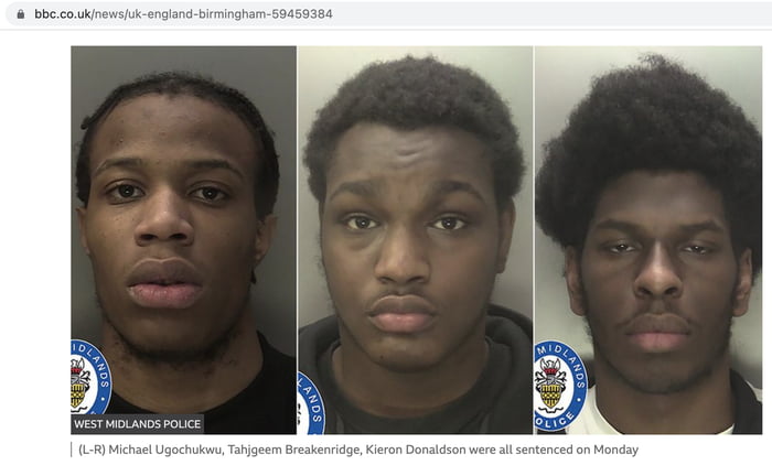 Three black teenagers murdered a 15 years old black teenager. Full ...