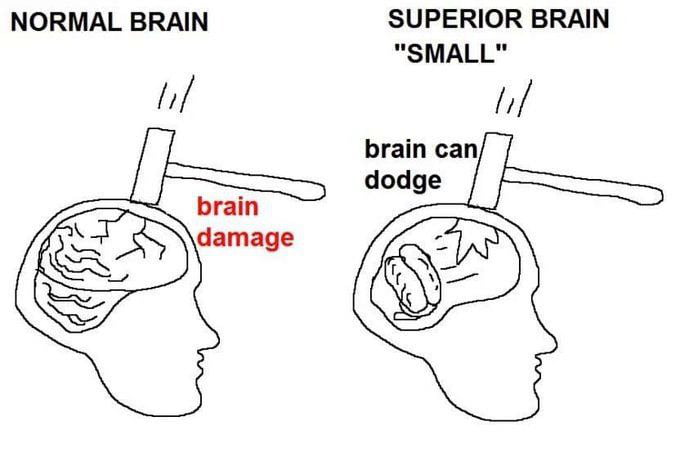 I have the smoothest brain - 9GAG