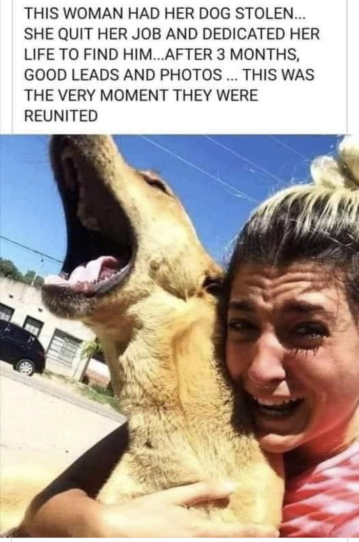 Woman does whatever she could to get her dog back, and that's exactly ...