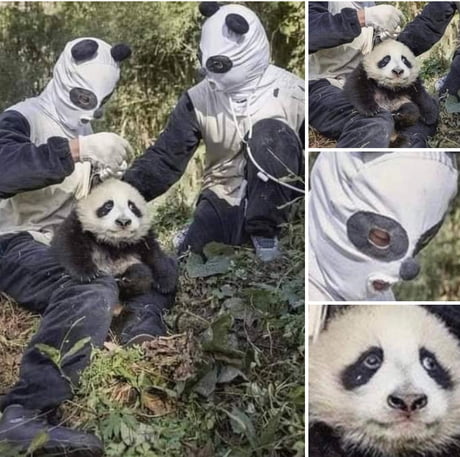 Gaia, mother of all life. - 9GAG