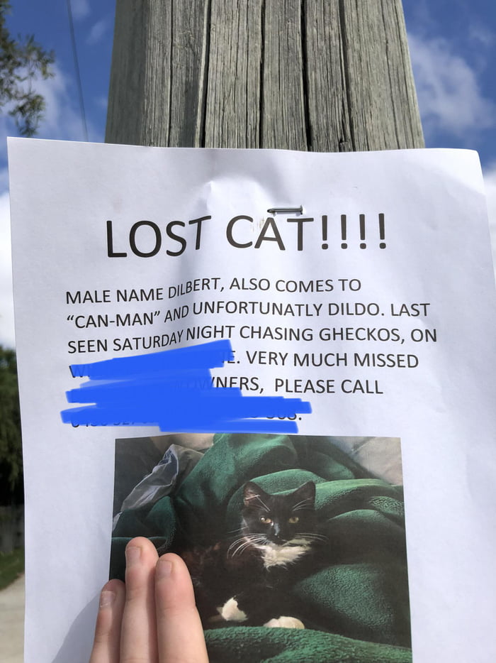 Missing Cat - not funny that he’s missing but look at the name! - 9GAG
