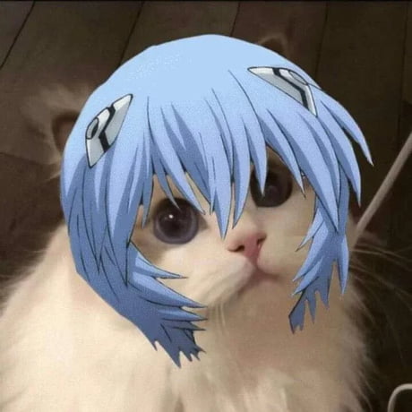 Best Funny Rei Ayanami Memes - 9GAG