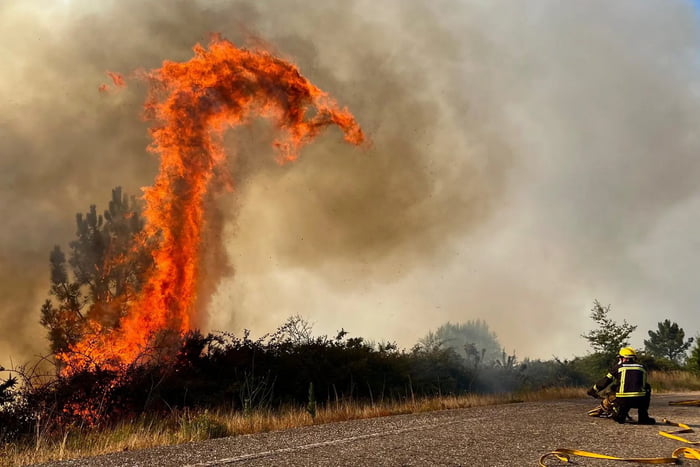 Firefighters battle a serpentine blaze in the village of A Cañiza in ...