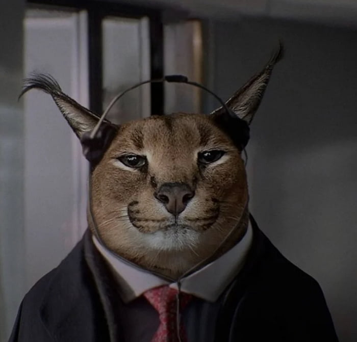 Floppa psycho - 9GAG