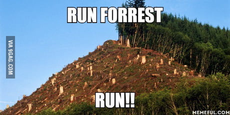 Memes About Deforestation I Hate Deforestation! I Hate Deforestation!
