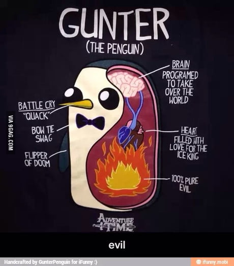 Gunter Penguin Memes