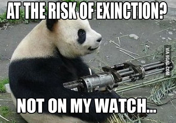 A Panda With A Minigun - 9GAG