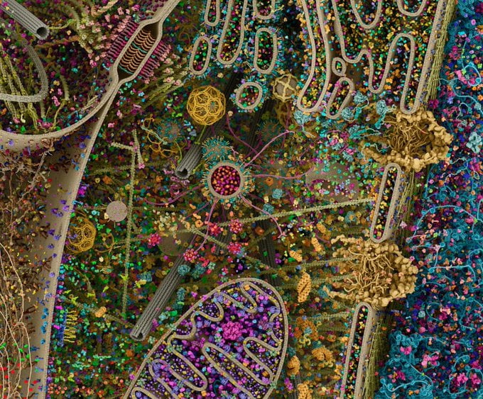 The most detailed image ever of a human cell. - 9GAG