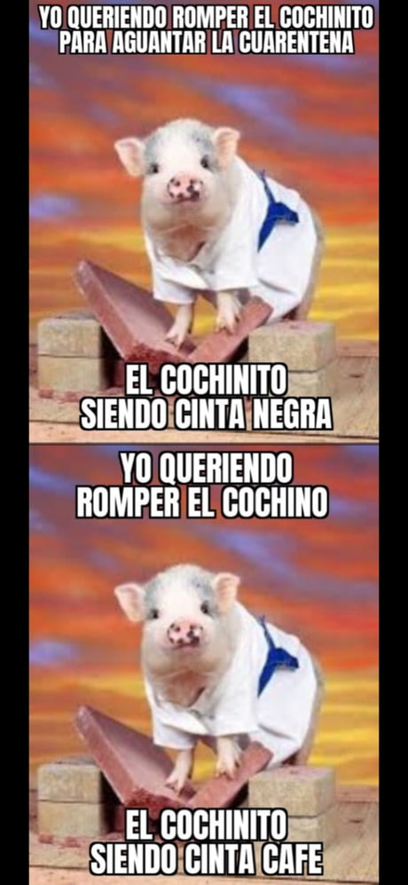 Memes Cochino Ándale Cochino