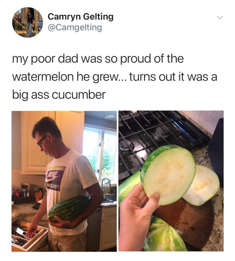 This is Cross-pollination - 9GAG