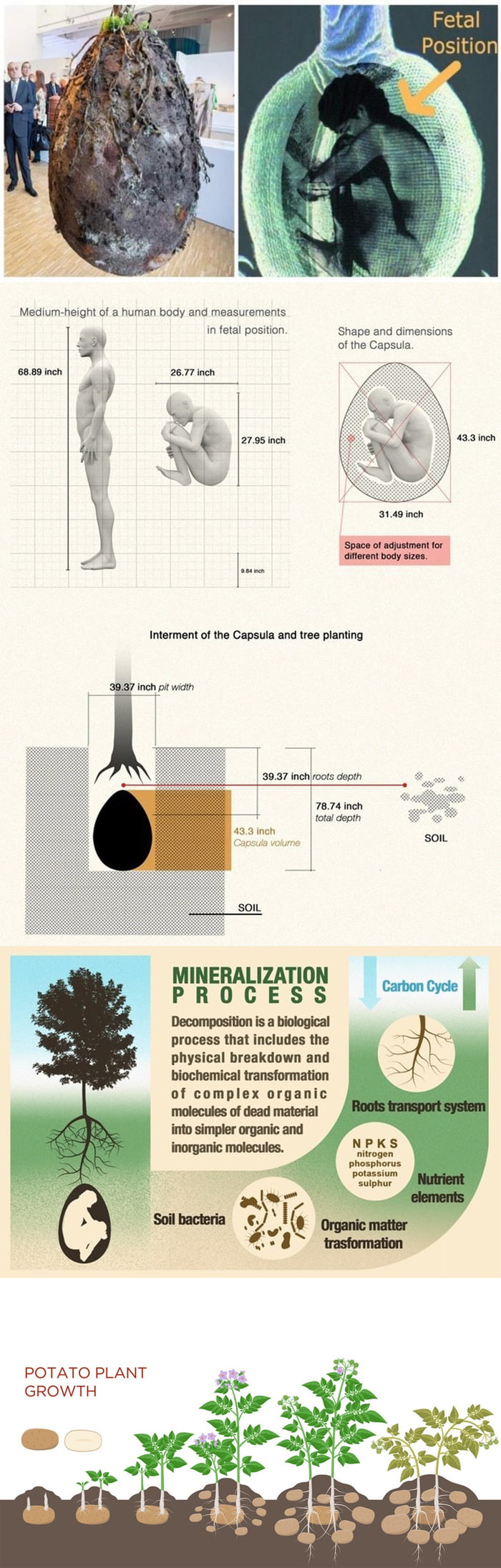 The End of Coffins - Organic Burial Pods Turn Bodies Into Trees - 9GAG