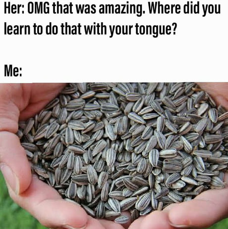 Sunflower Seed Memes