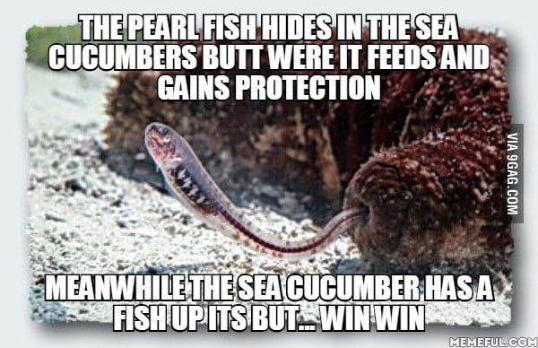 Mutualism or Commensalism? - 9GAG