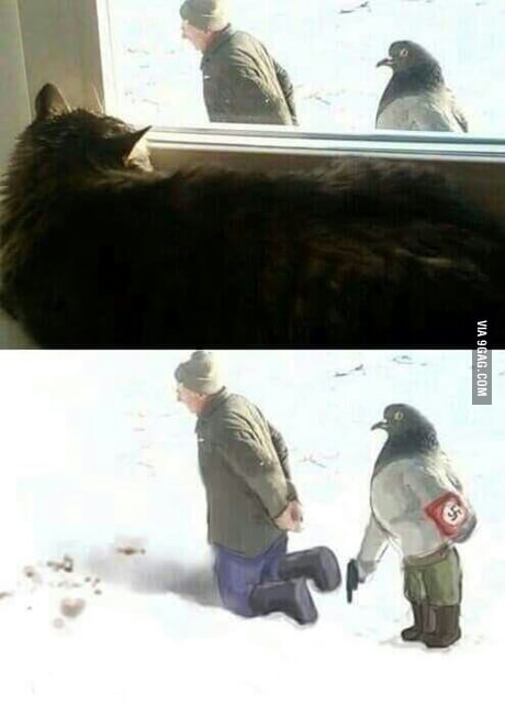 Nazi Pigeon Memes Birds' Head Haggadah Wikipedia