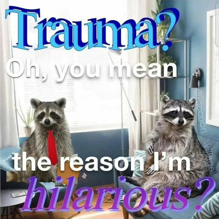 Need more of these Trash Panda memes for a project - 9GAG