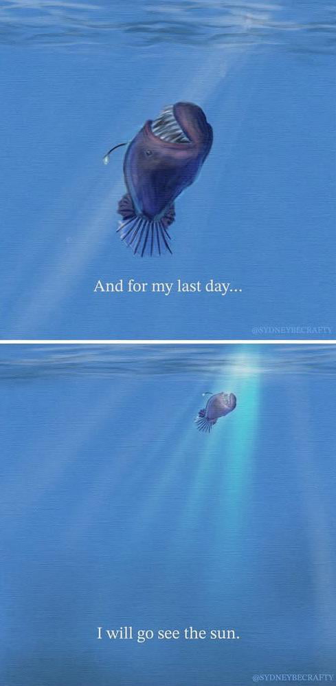 Crying over a fish - 9GAG