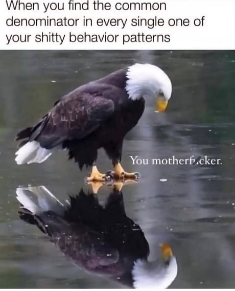 Best Funny behavior patterns Memes - 9GAG