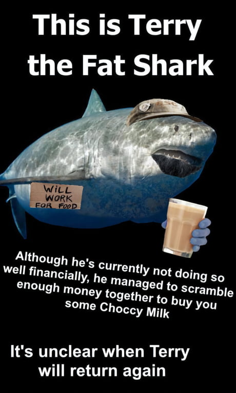 Best Funny shark Memes - 9GAG